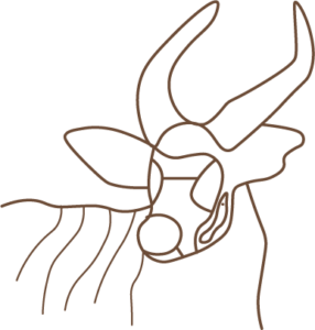 Conservation status – Mountain Bongo Project