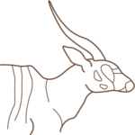 Conservation status – Mountain Bongo Project